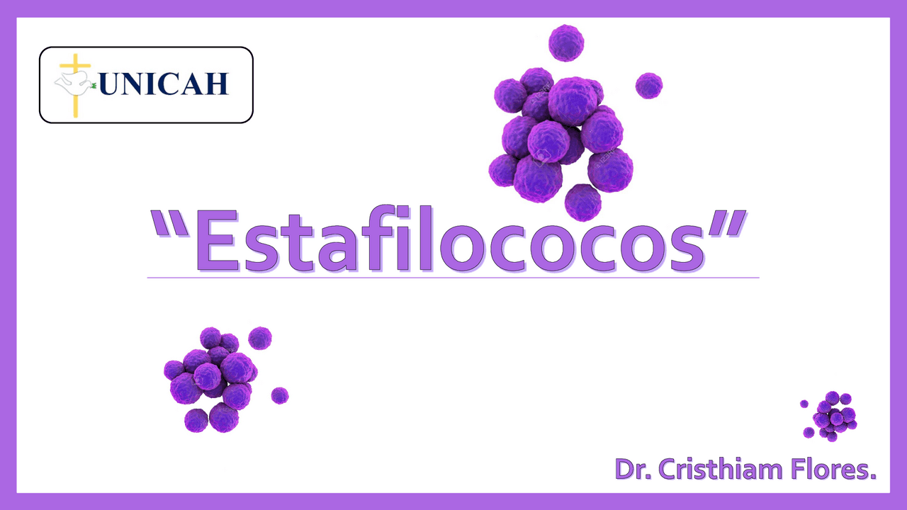Estafilococos