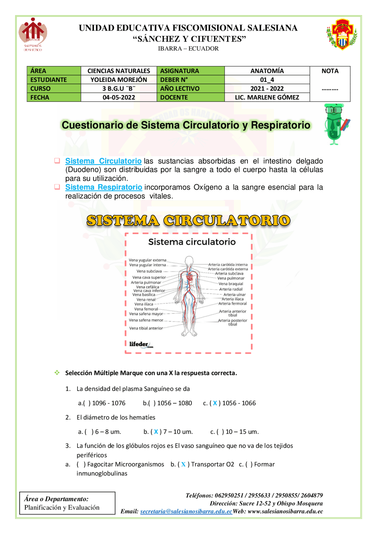 Anatomia De Segundo Quimestre Dos Apuntes De Anatomía Aplicada Docsity