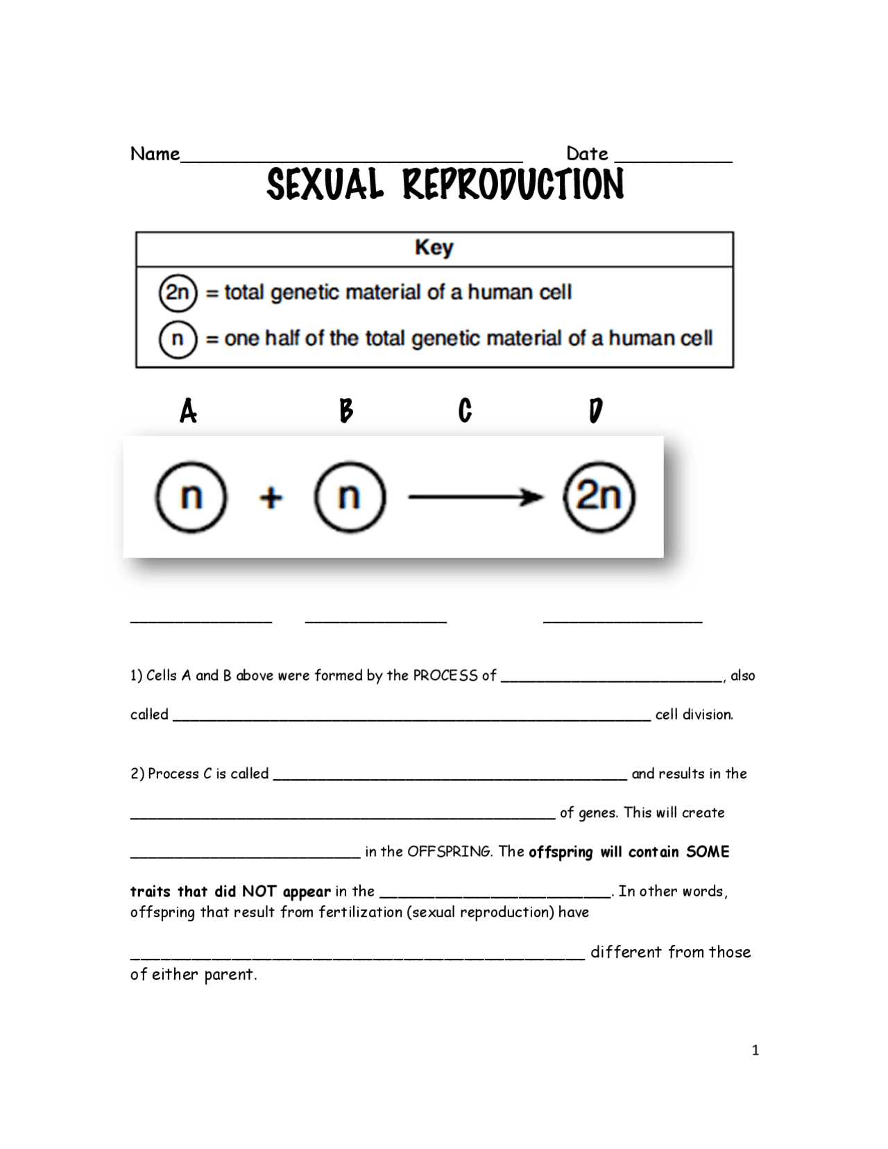 SEXUAL REPRODUCTION | Slides Psychology of Sex | Docsity