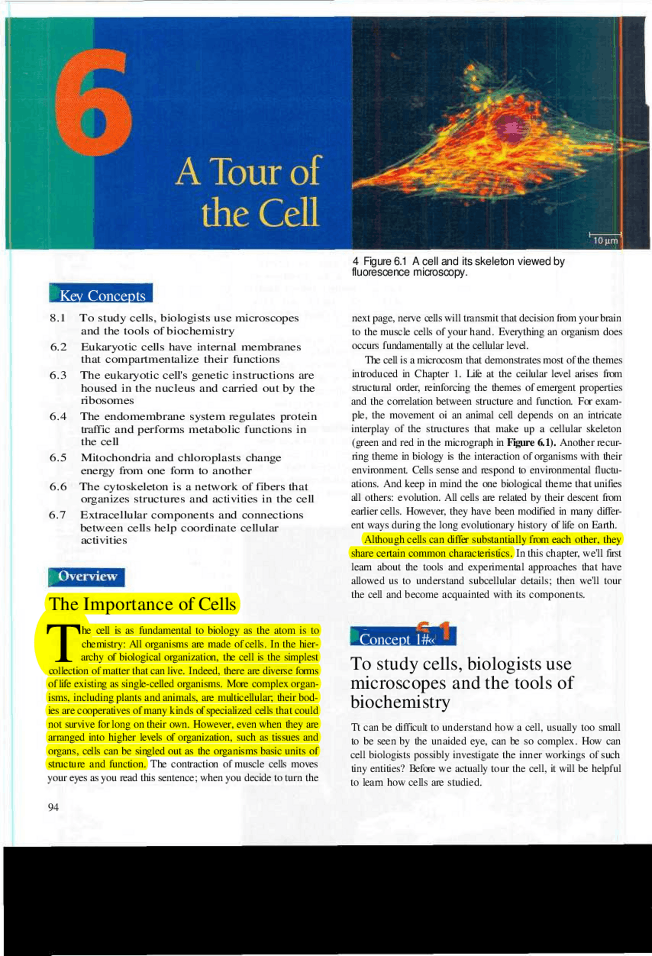 Introduction to Cells and Cell Structure | Exams Biochemistry | Docsity