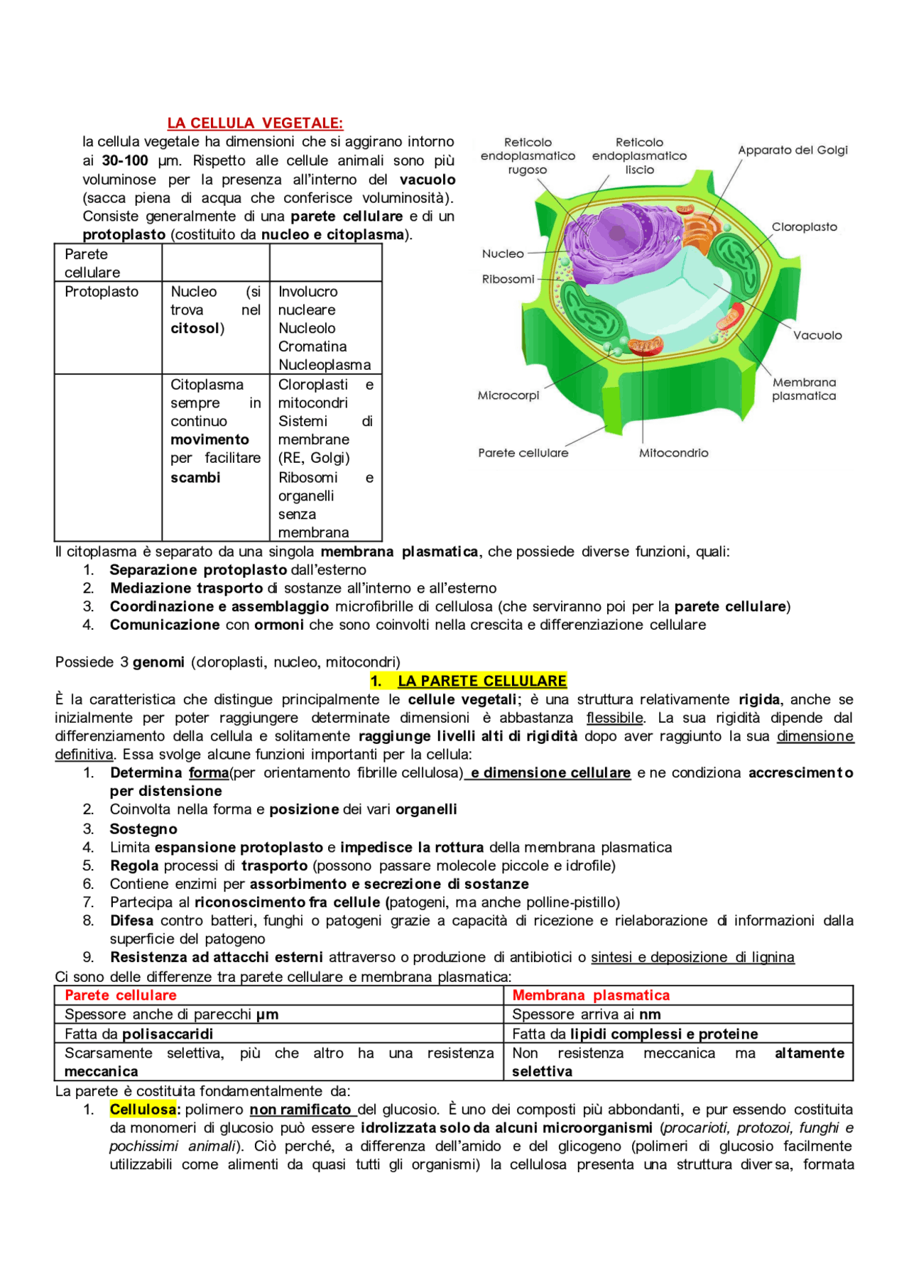 Biologia vegetale, dalla cellula agli stress | Appunti di Biologia Vegetale | Docsity