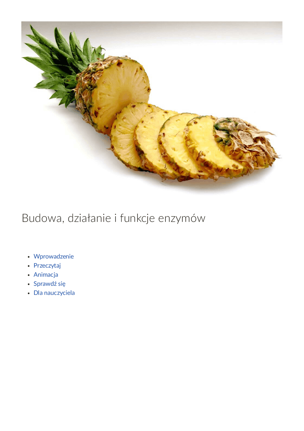 Budowa i funkcje enzymów | Prezentacje Biologia | Docsity