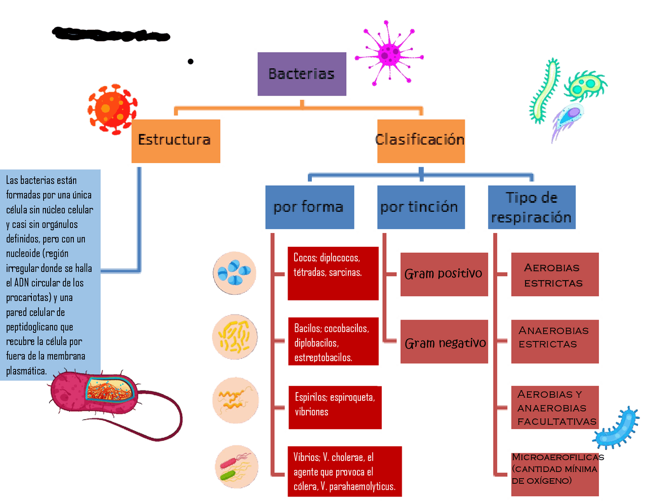 Características de bacterias | Ejercicios de Biología | Docsity