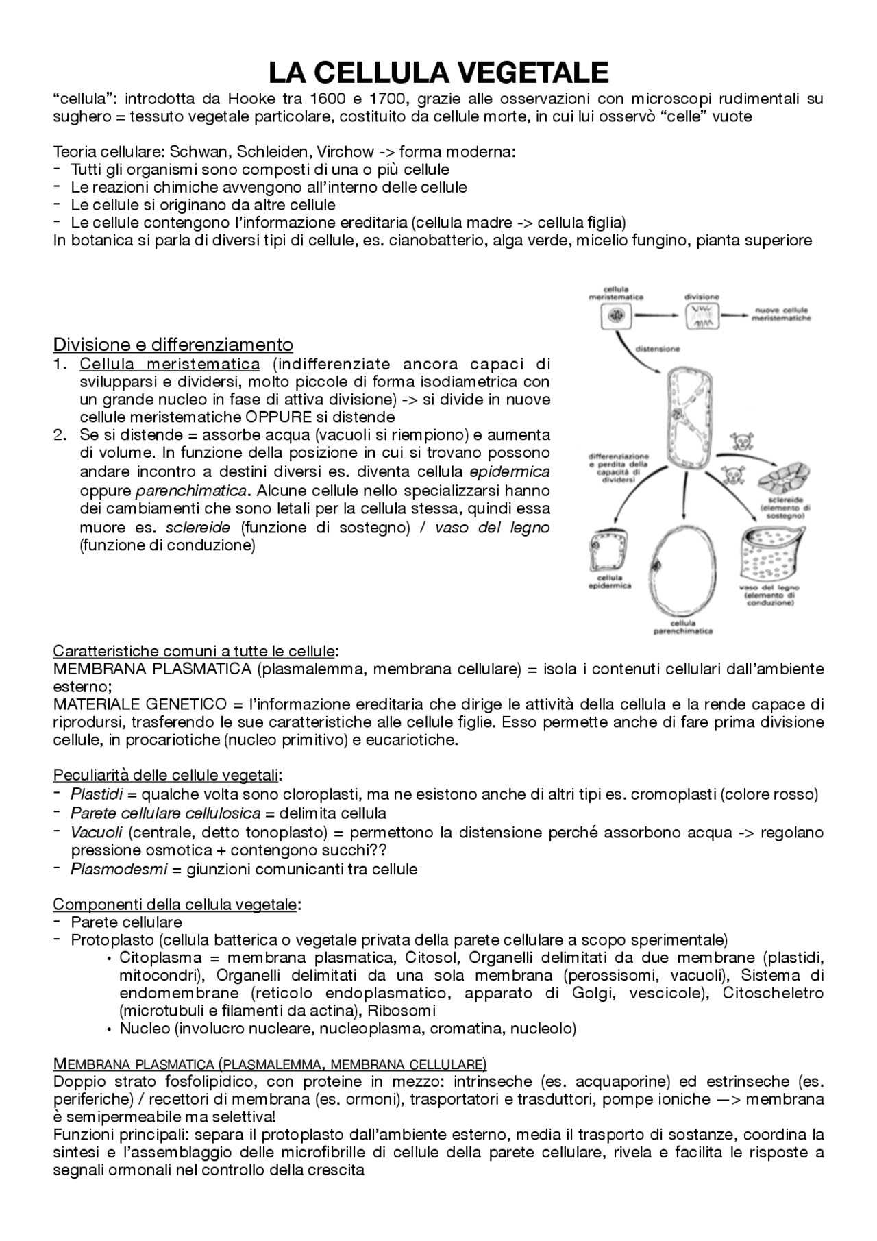 LA CELLULA VEGETALE E LA SUA STRUTTURA | Appunti di Botanica Generale | Docsity