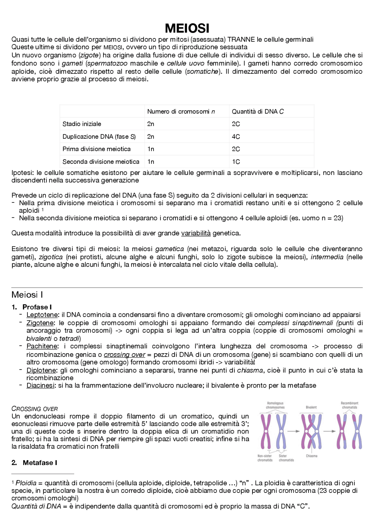 LA MEIOSI E LE SUE FASI | Appunti di Citologia | Docsity