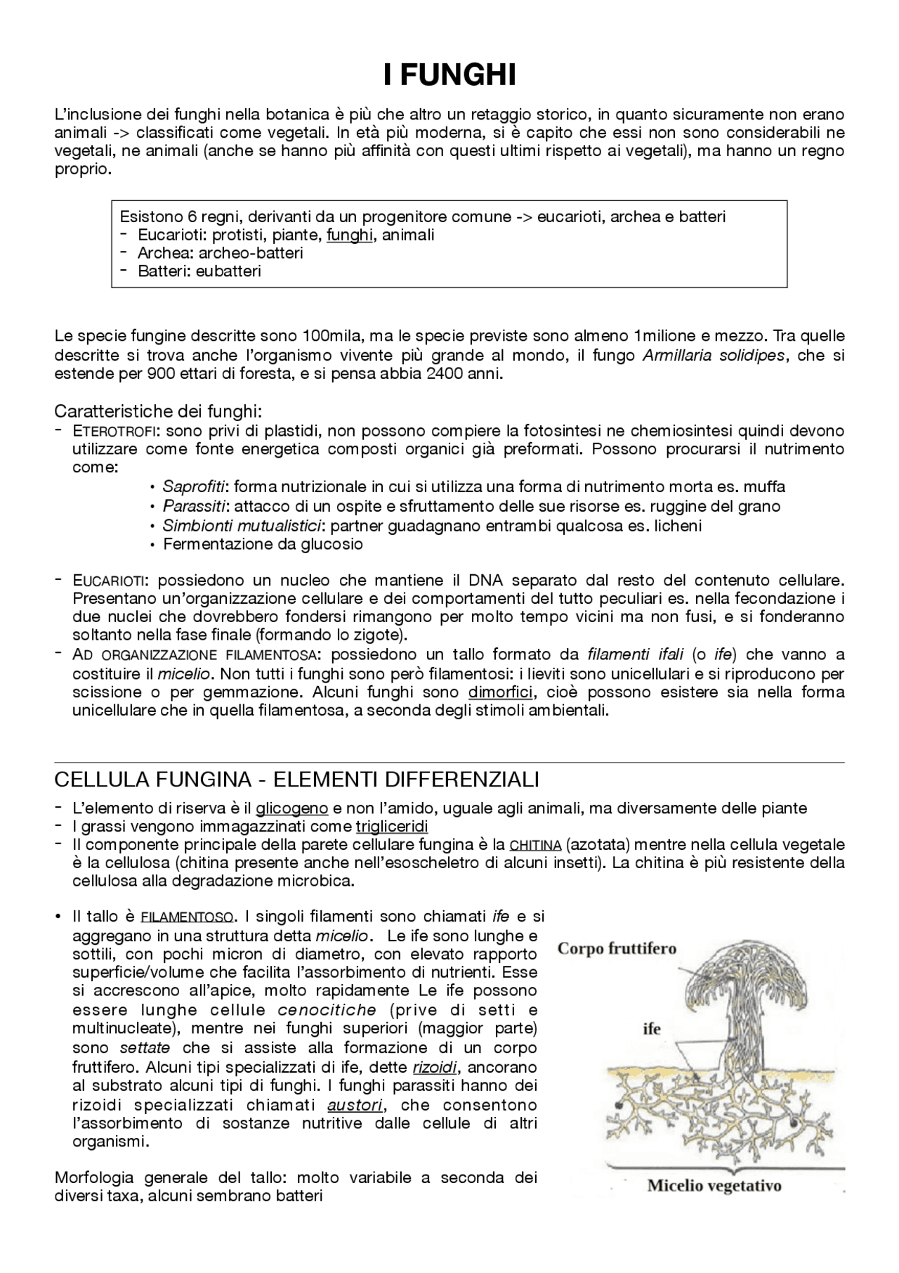 I Funghi E I Licheni Appunti Di Botanica Generale Docsity