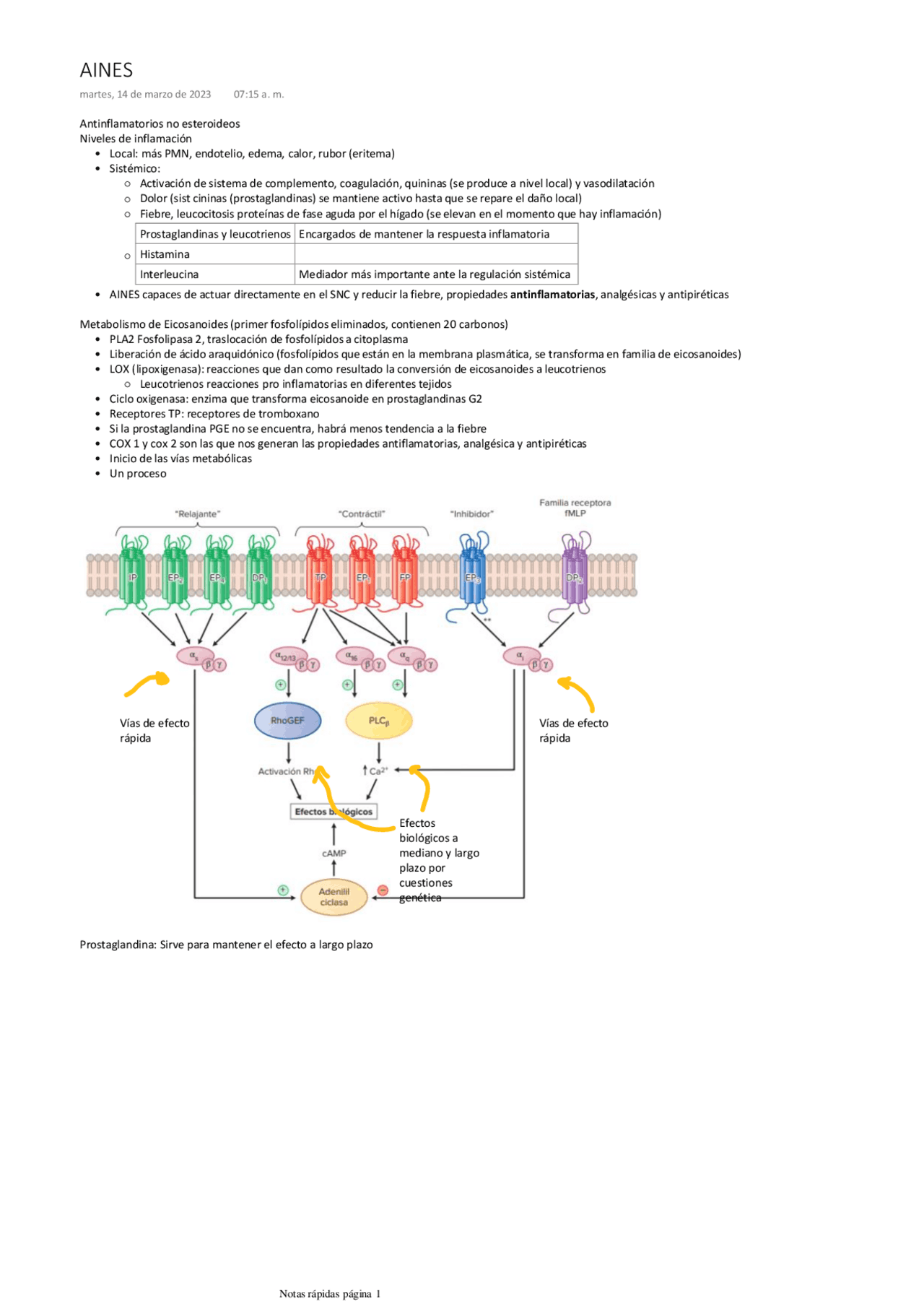 Aines Inflamatorios No Esteroideos Apuntes De Microbiología Docsity
