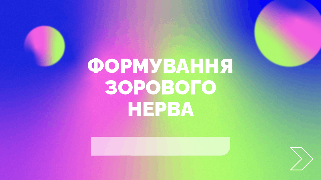 Формування зорового нерва Презентации Эмбриология Docsity