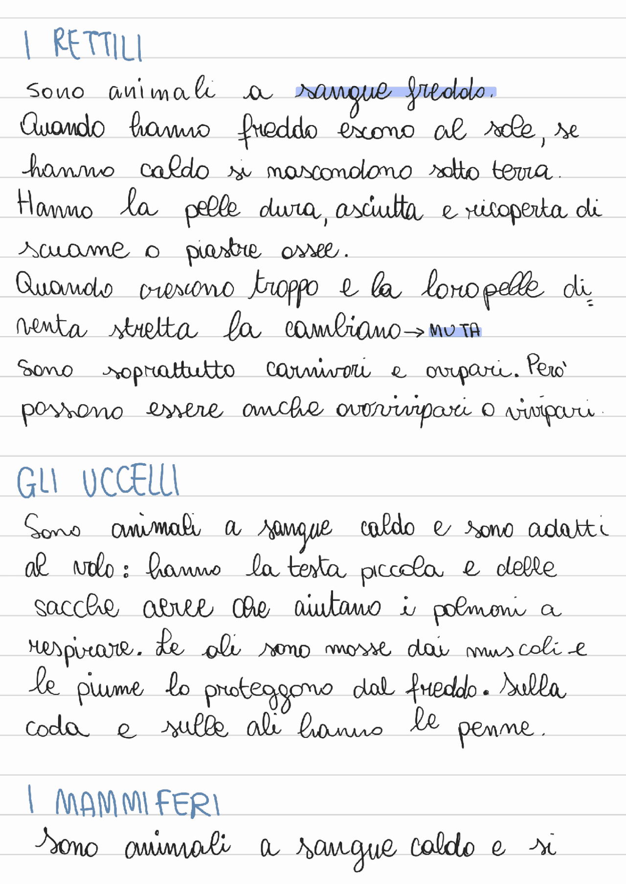 I rettili, gli uccelli e i mammiferi. schema riassuntivo | Schemi e ...