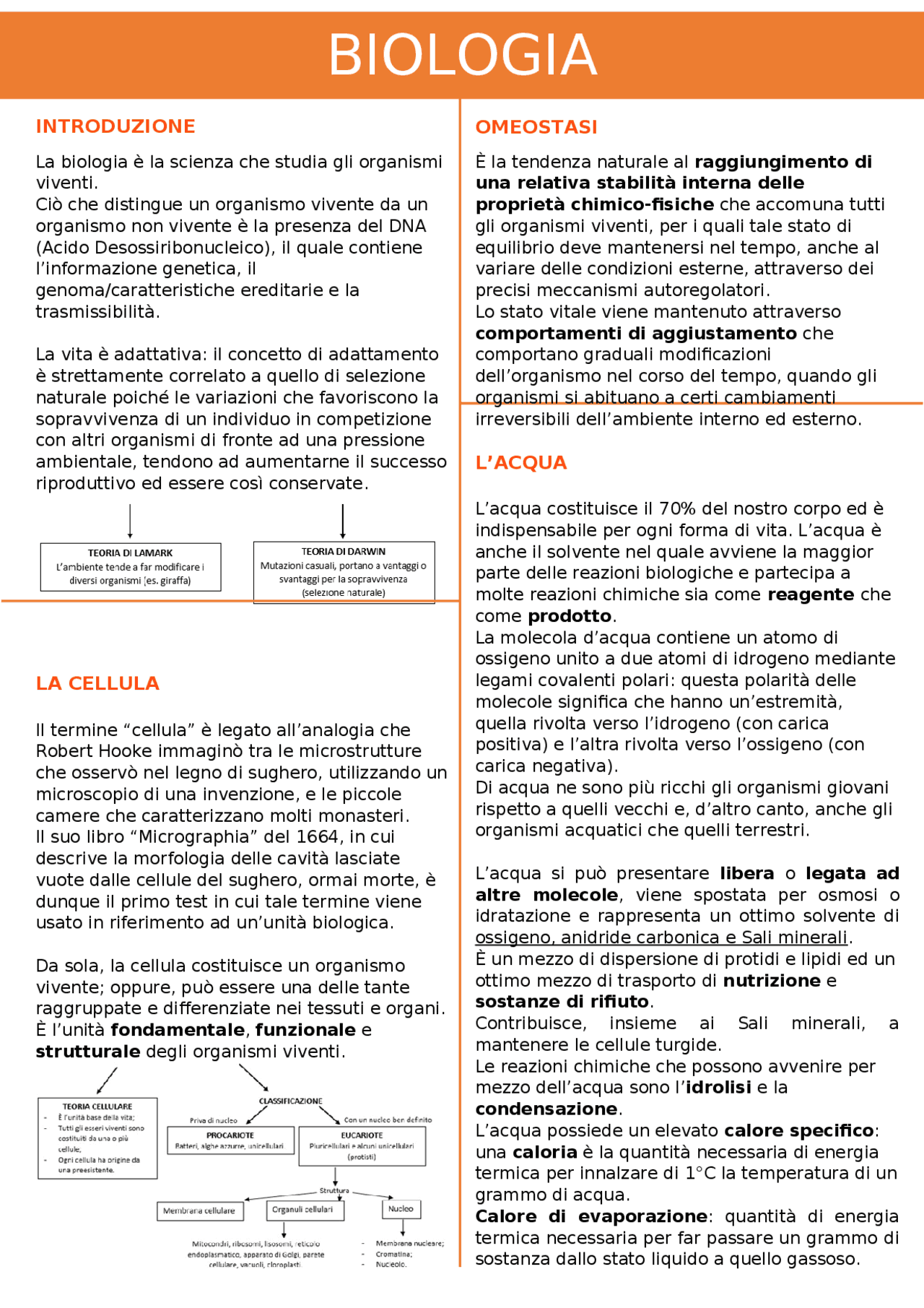 Dispense approfondite di Biologia per le professioni sanitarie (Infermieristica) | Dispense di ...