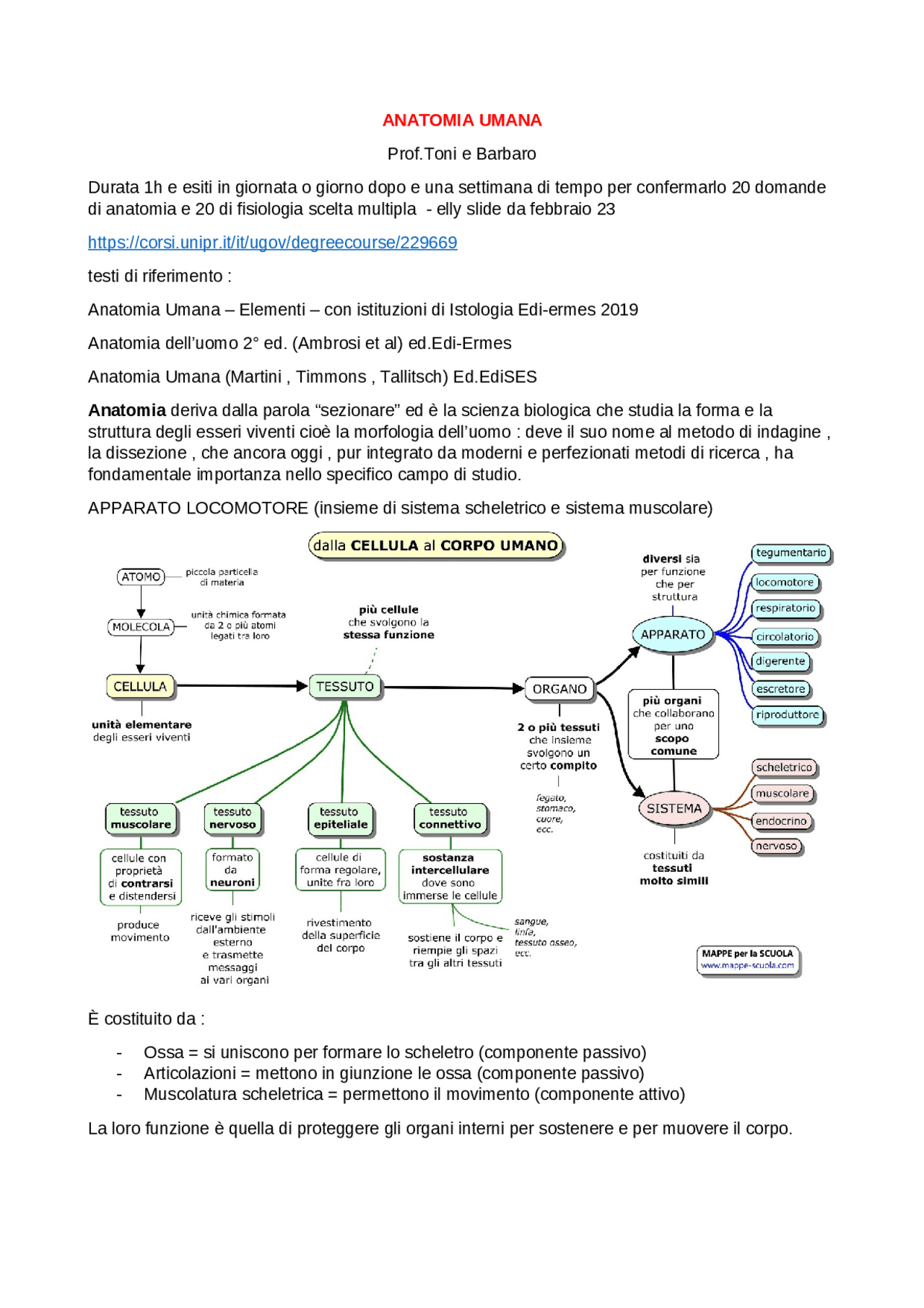 Morfologia e fisiologia | Schemi e mappe concettuali di Anatomia | Docsity
