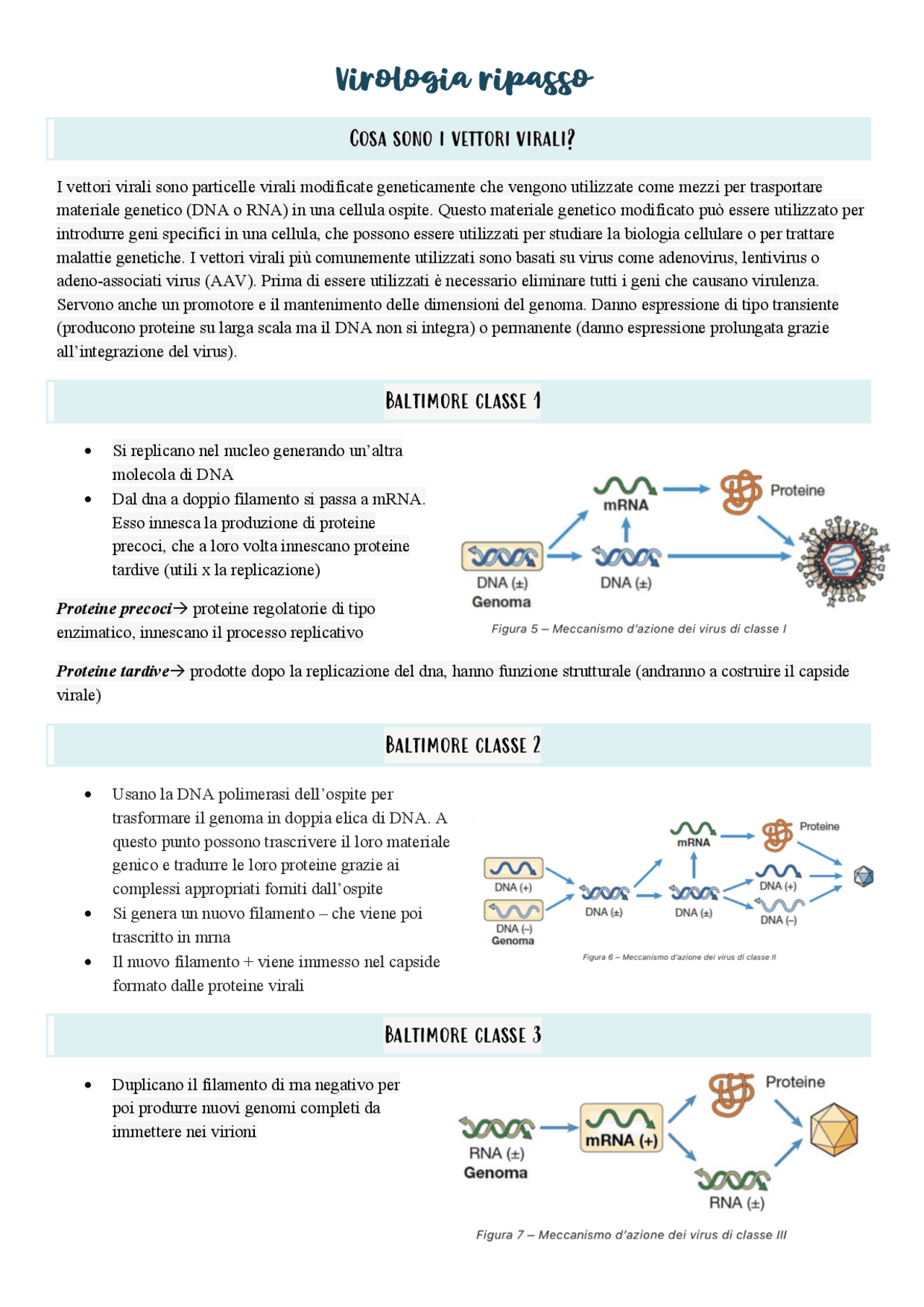 Schemi Di Ripasso Di Virologia Schemi E Mappe Concettuali Di