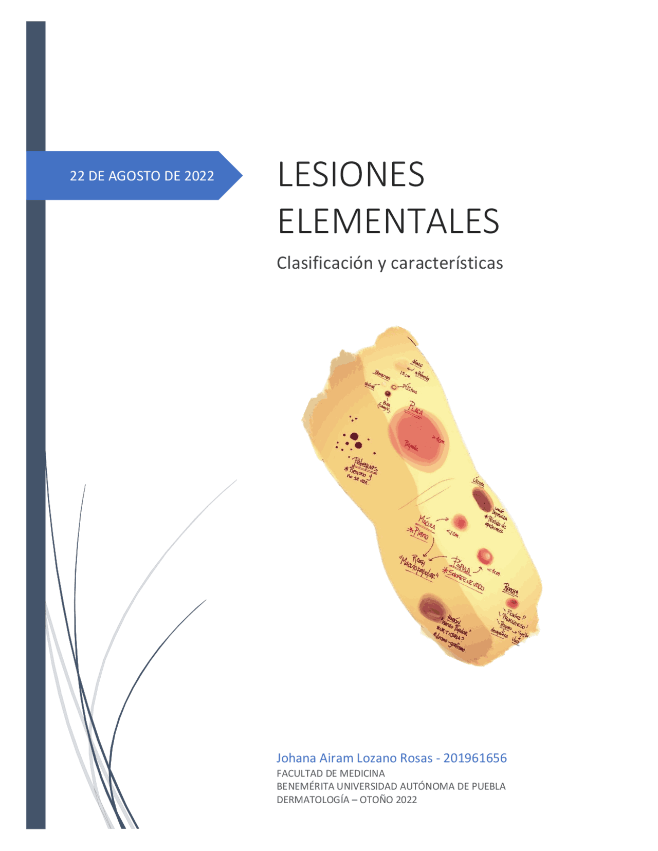 Lesiones Elementales | Esquemas de Dermatologia | Docsity