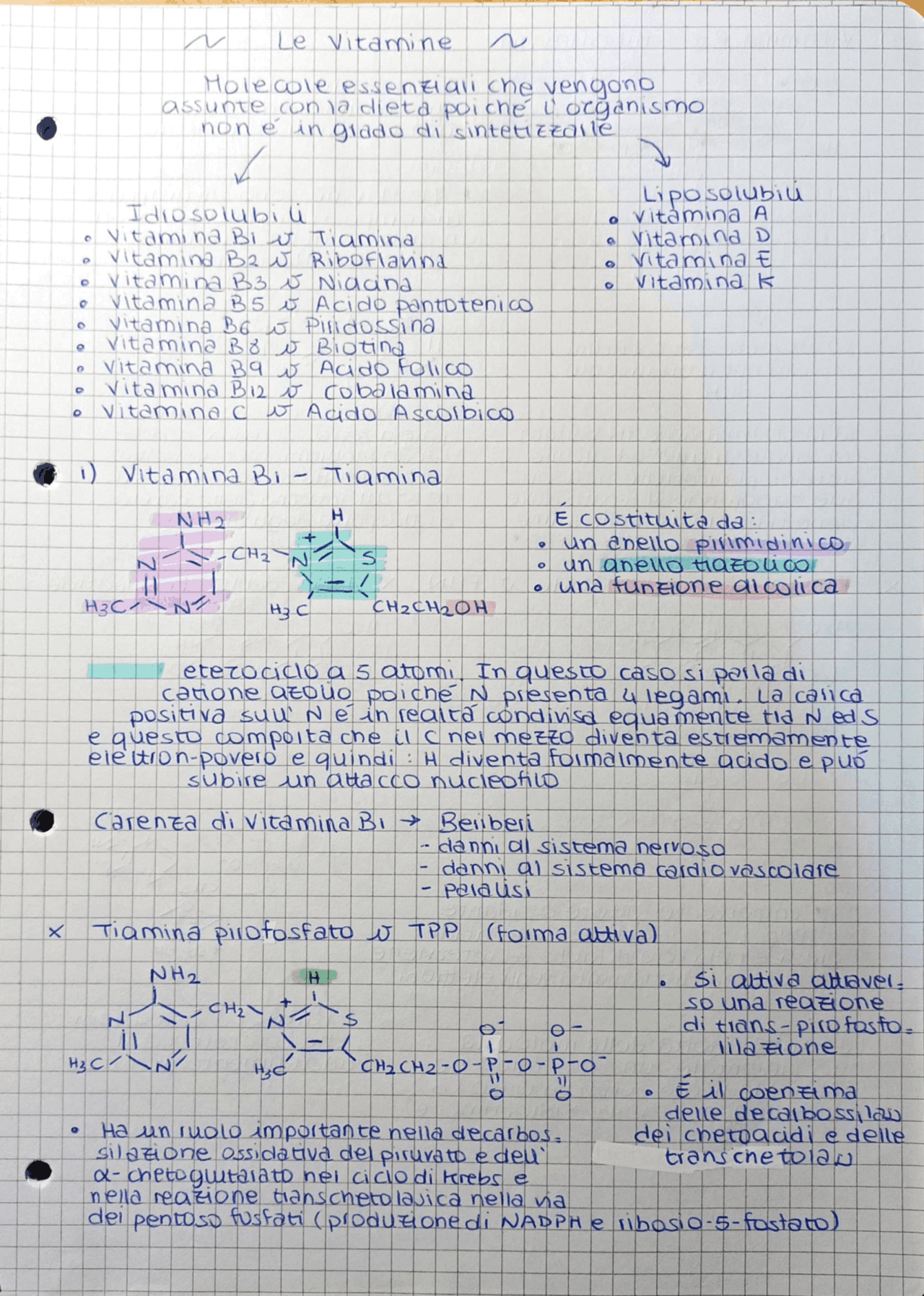 Biochimicalevitamine Appunti Di Biochimica Docsity