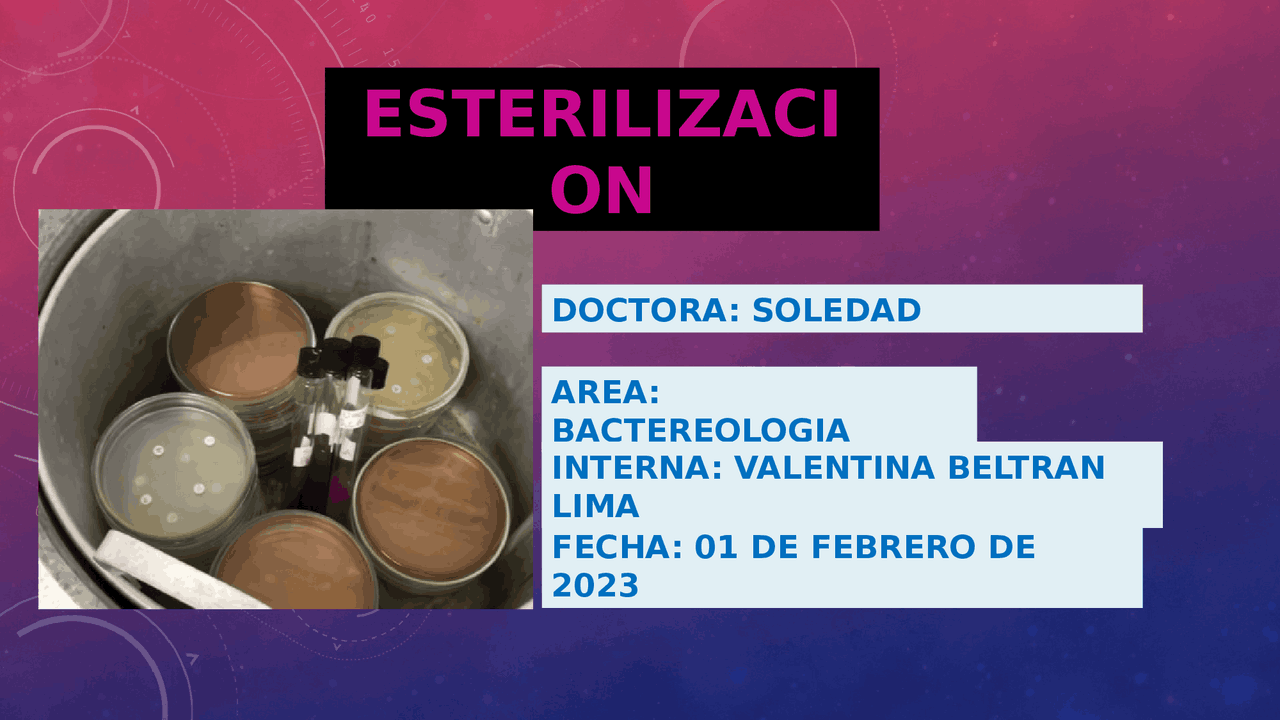 Esterilización En El Laboratorio Apuntes De Química Docsity