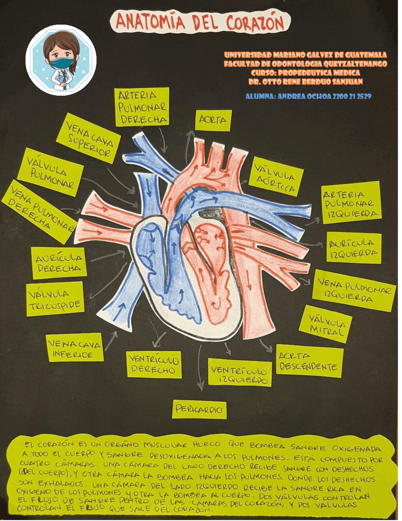 Documentos De Apoyo Semiología Apuntes De Anatomía Docsity