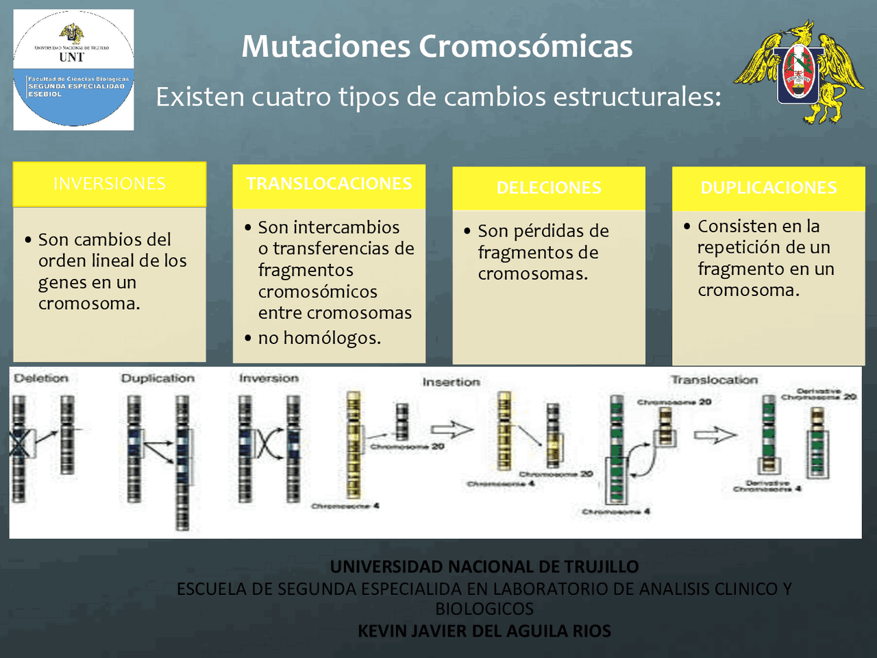 Mutaciones Cromosomicas Apuntes De Biología Molecular Docsity