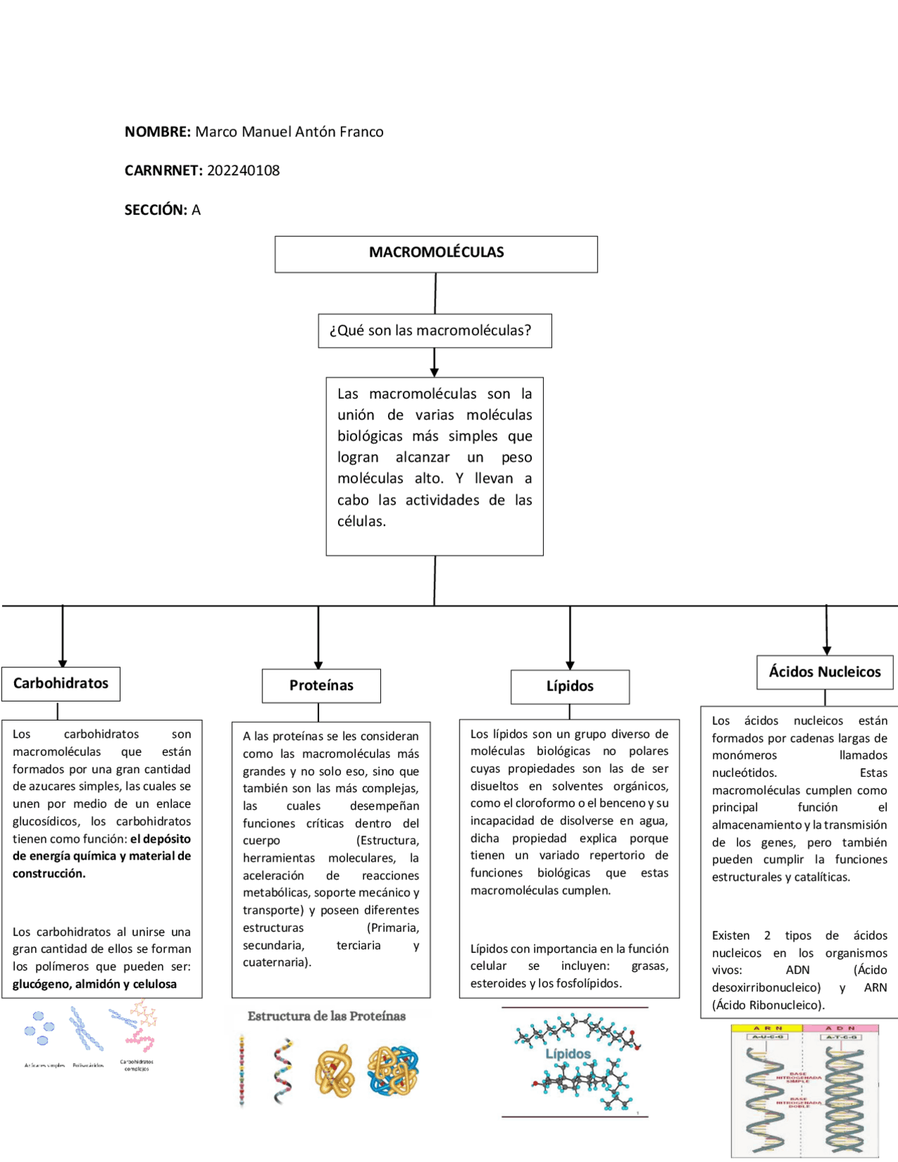 hoja de trabajo de biologia | Ejercicios de Biología | Docsity