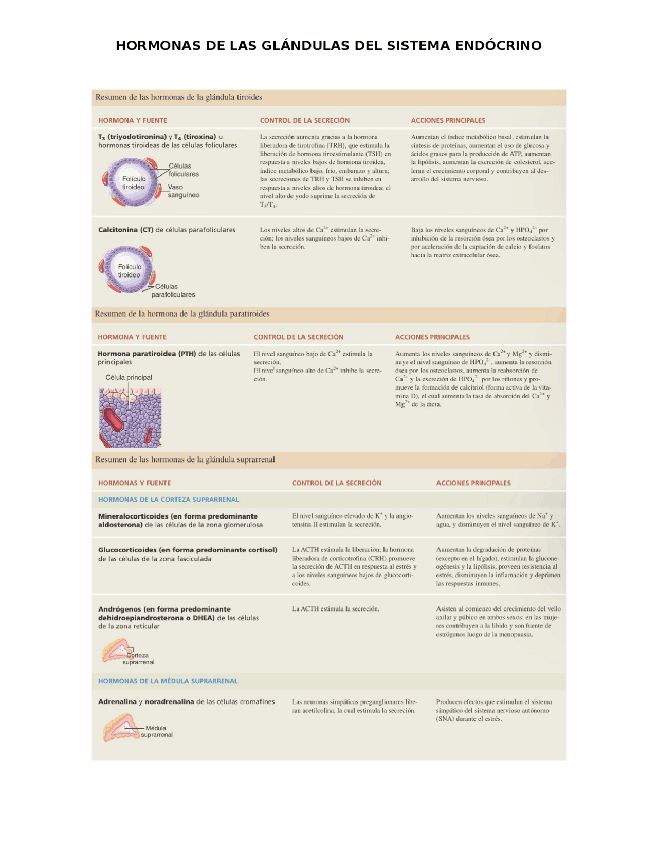 HORMONAS DE LAS GLÁNDULAS DEL SISTEMA ENDÓCRINO | Esquemas y mapas conceptuales de Fisiología ...