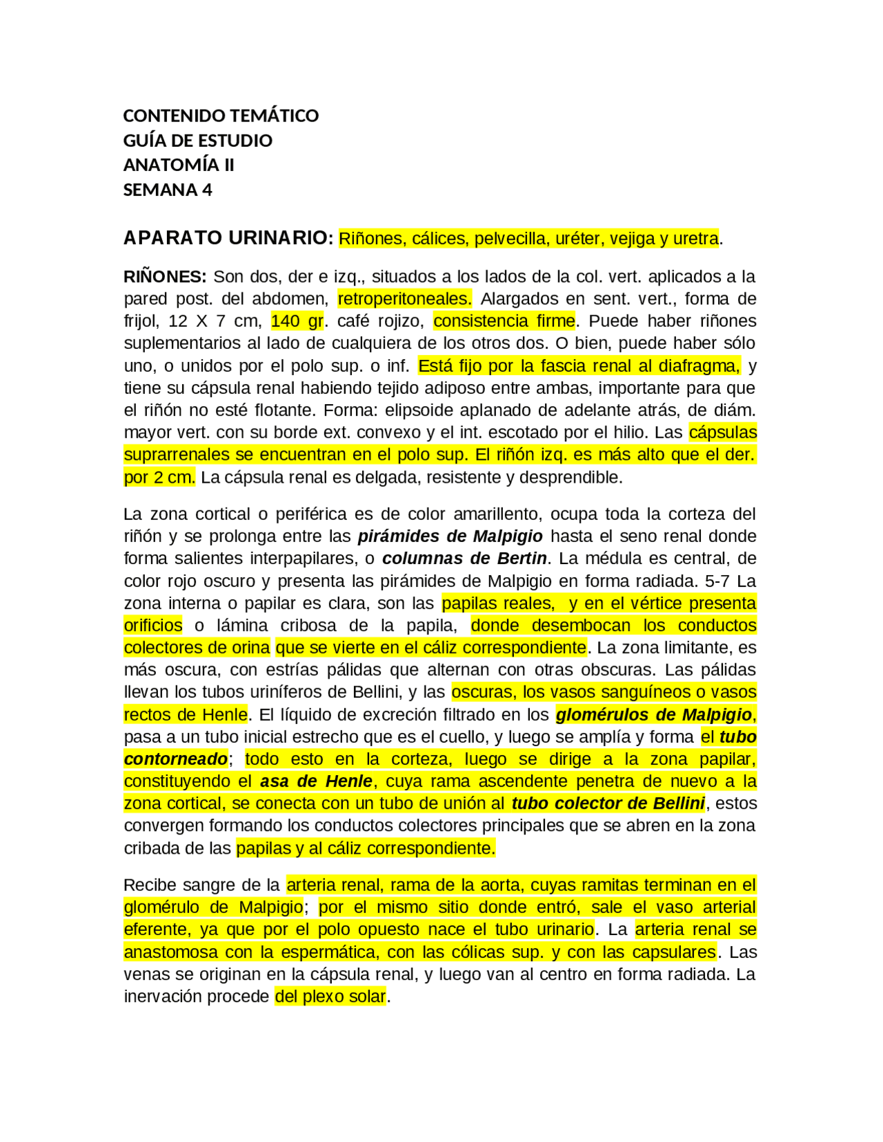 Anatomia Del Corazon Monografías Ensayos De Anatomía Docsity