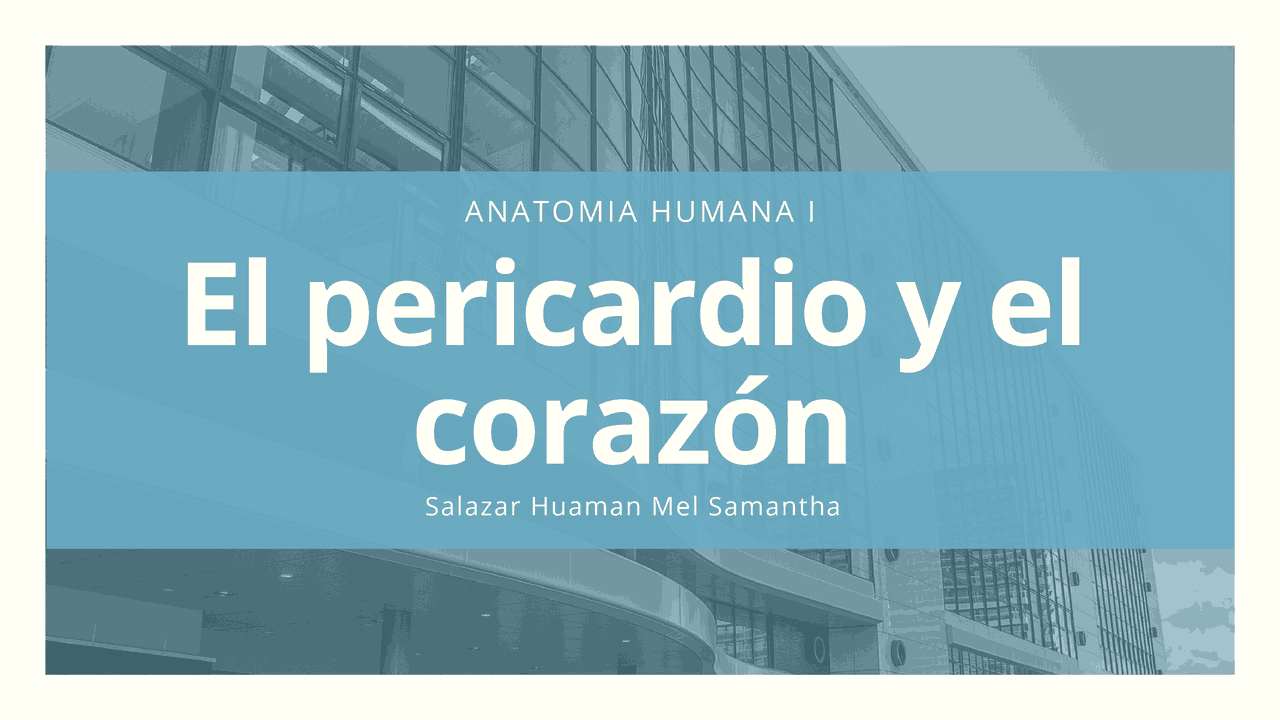 El corazón y el pericardio | Diapositivas de Anatomía | Docsity