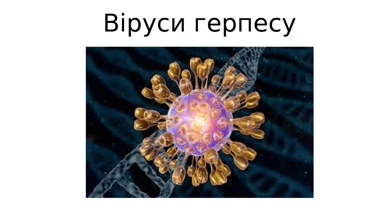 Вірус герпесу презентація Презентации Клиническая иммунология Docsity