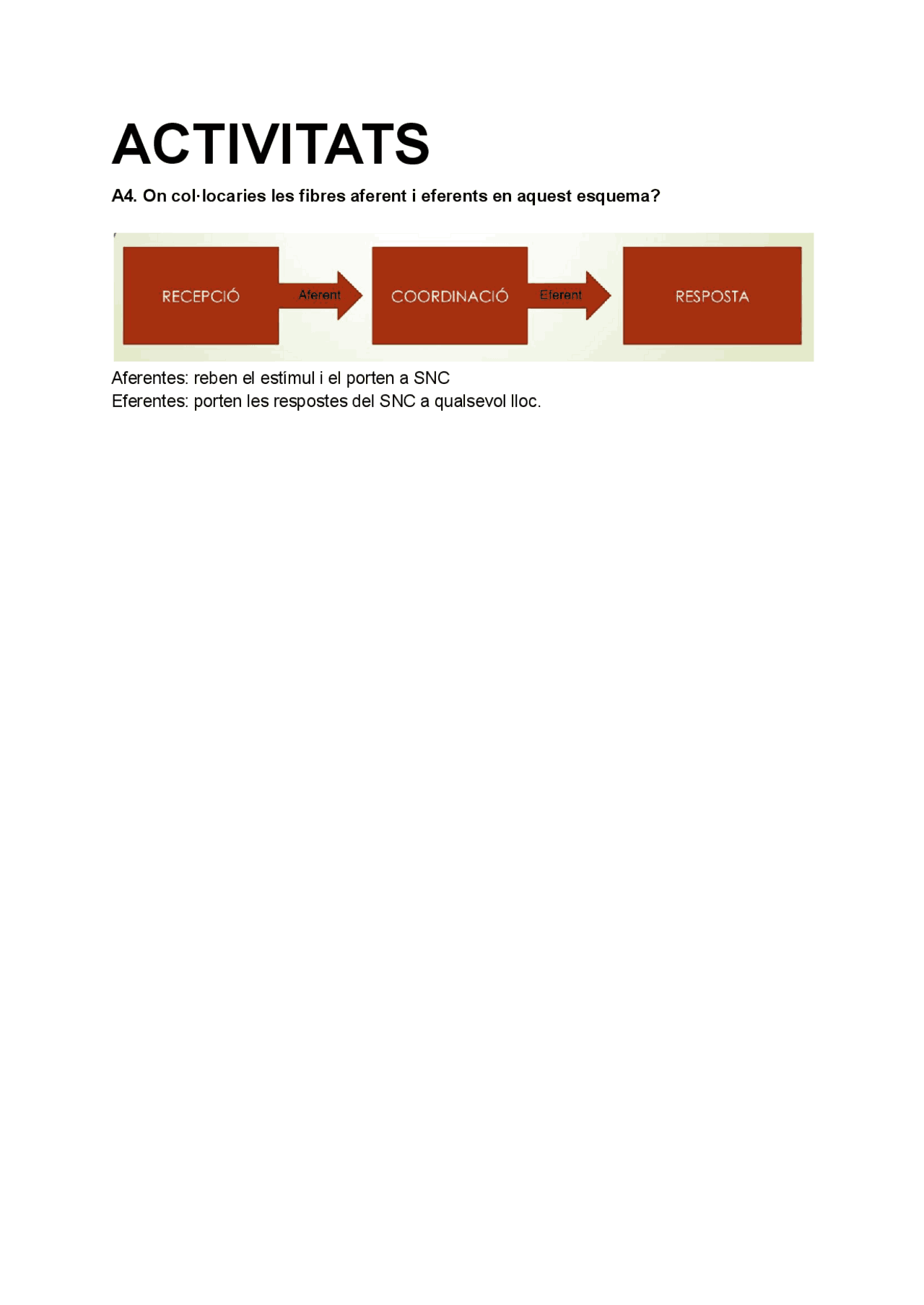 Ejercicios Filosofoa Ejercicios De Filosofía Docsity
