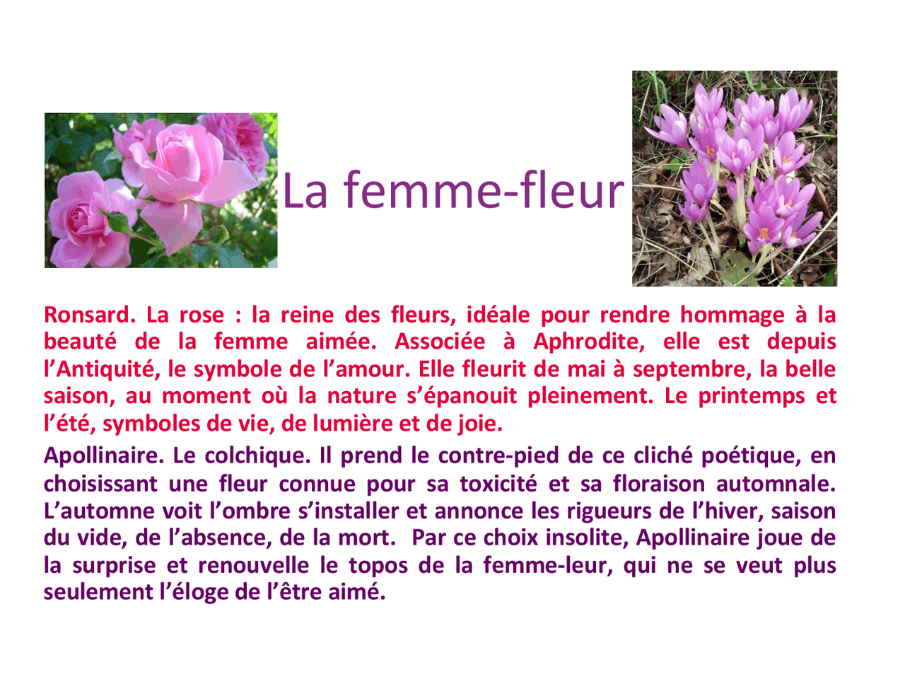 Les Colchiques Dapollinaire Slides Français Docsity