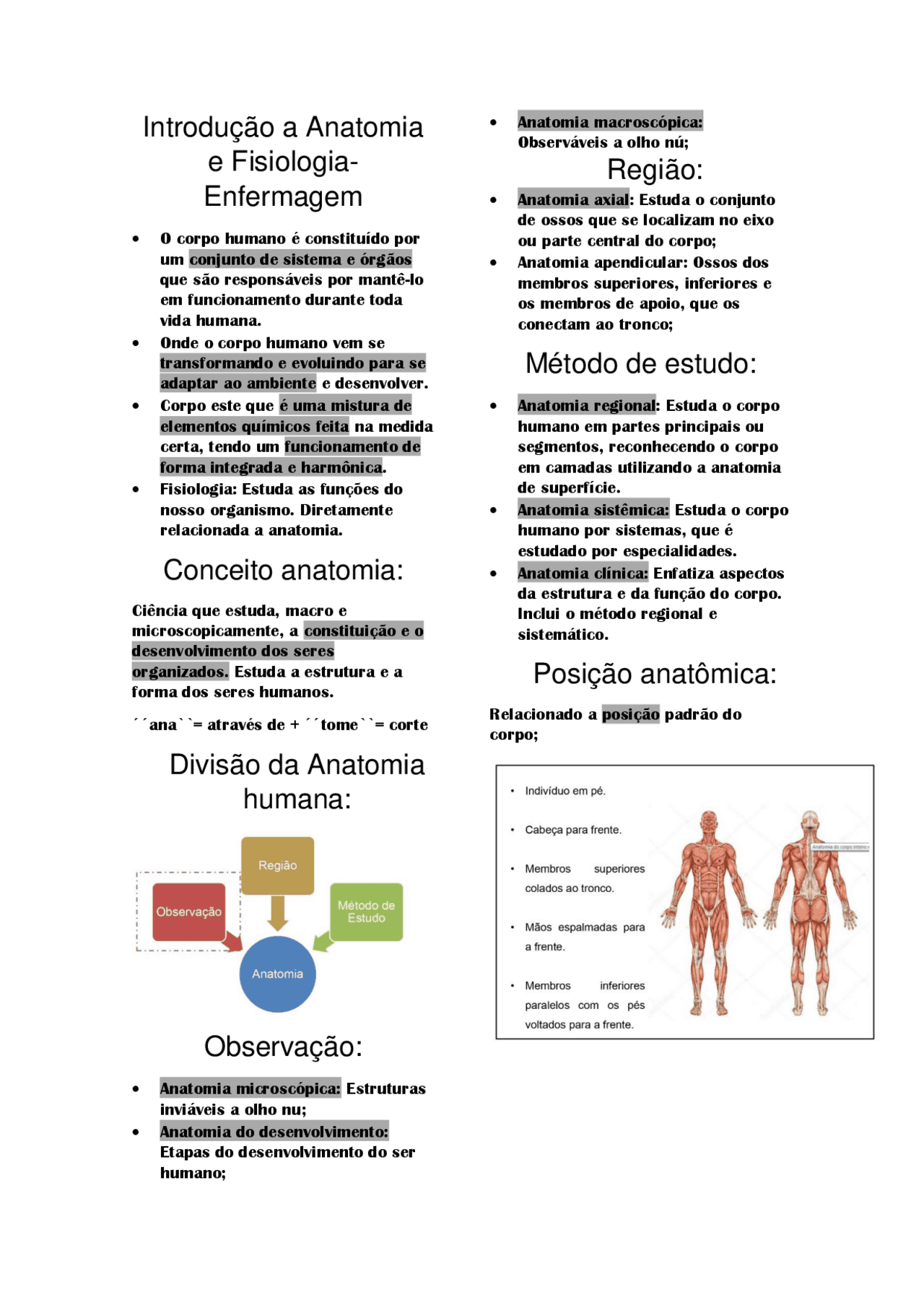 IntroduÇÃo A Anatomia E Fisiologia Resumos Anatomia Docsity