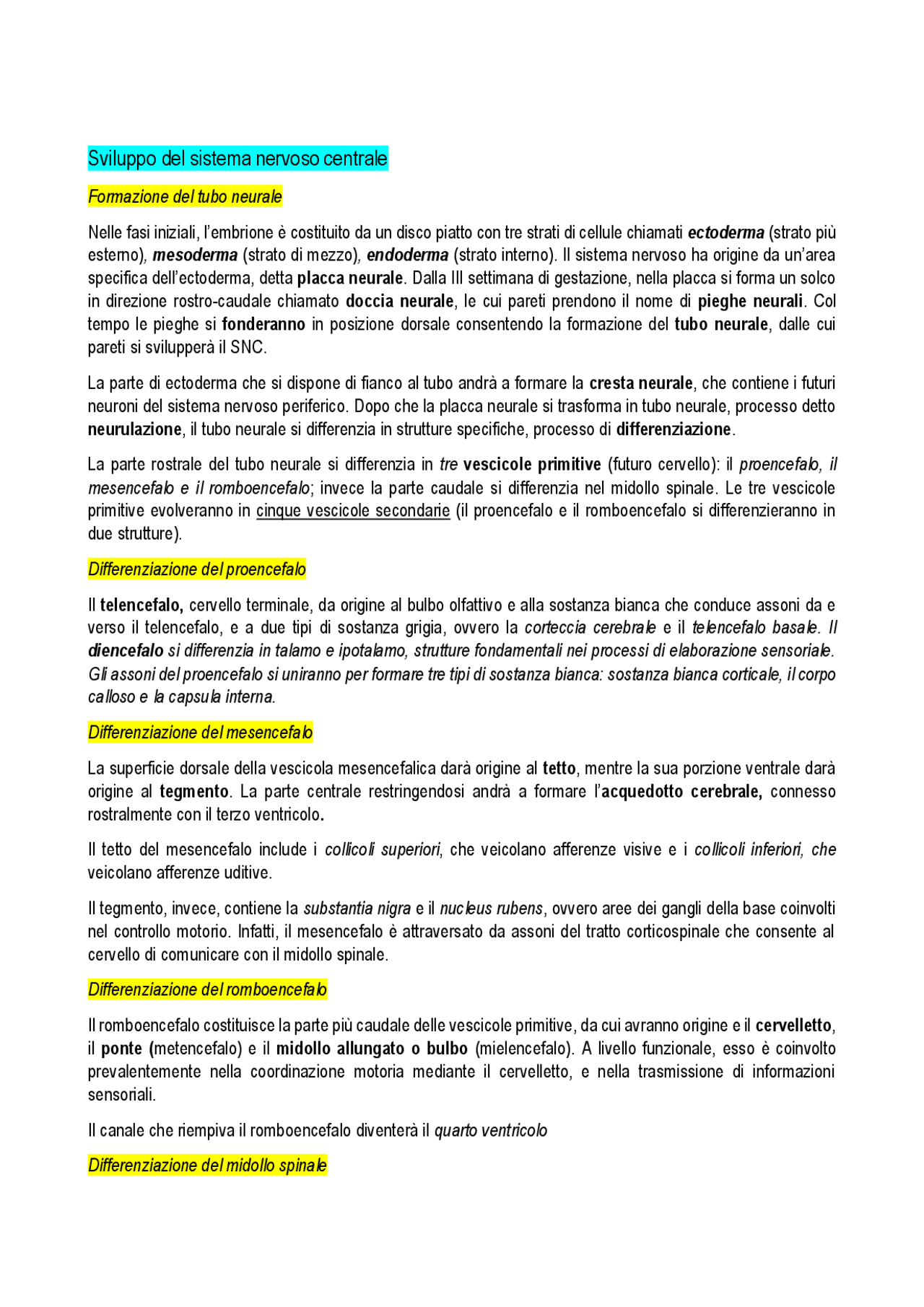 Sistema nervoso centrale con annessi sotto paragrafi | Dispense di ...