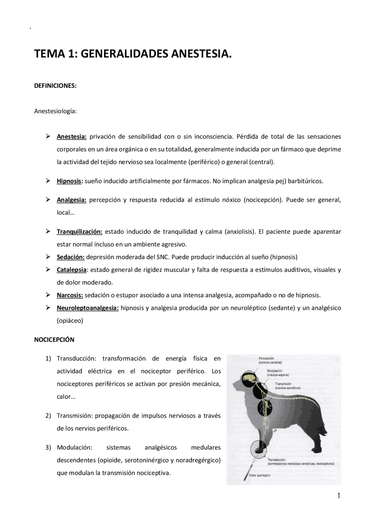 Apuntes Temas Anestesiología Apuntes De Anestesiología Docsity