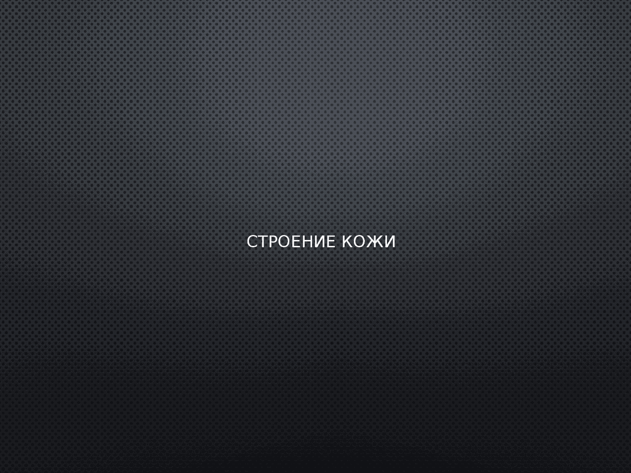 Дерматология Строение кожи Презентации Дерматология Docsity