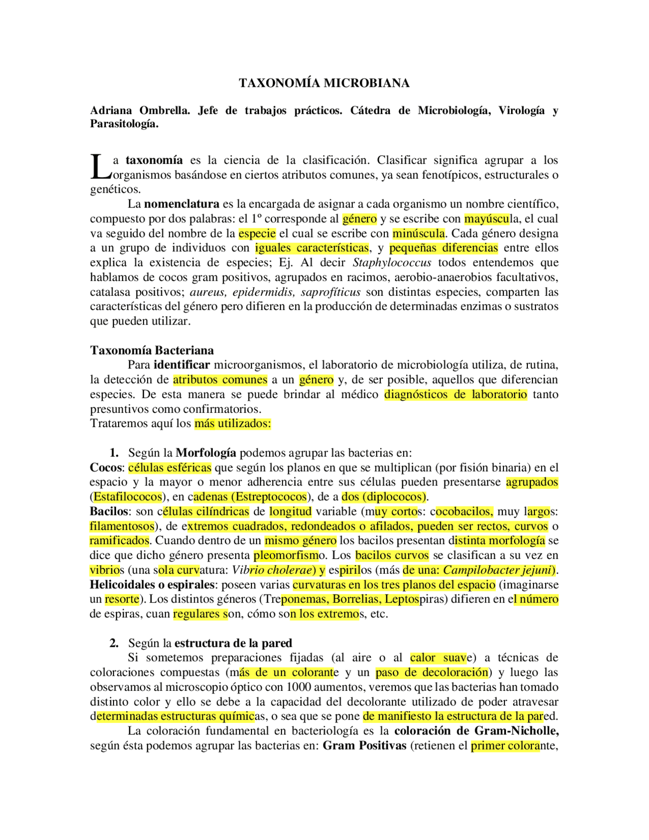 Taxonomia Bacteriana Y Viral Esquemas Y Mapas Conceptuales De