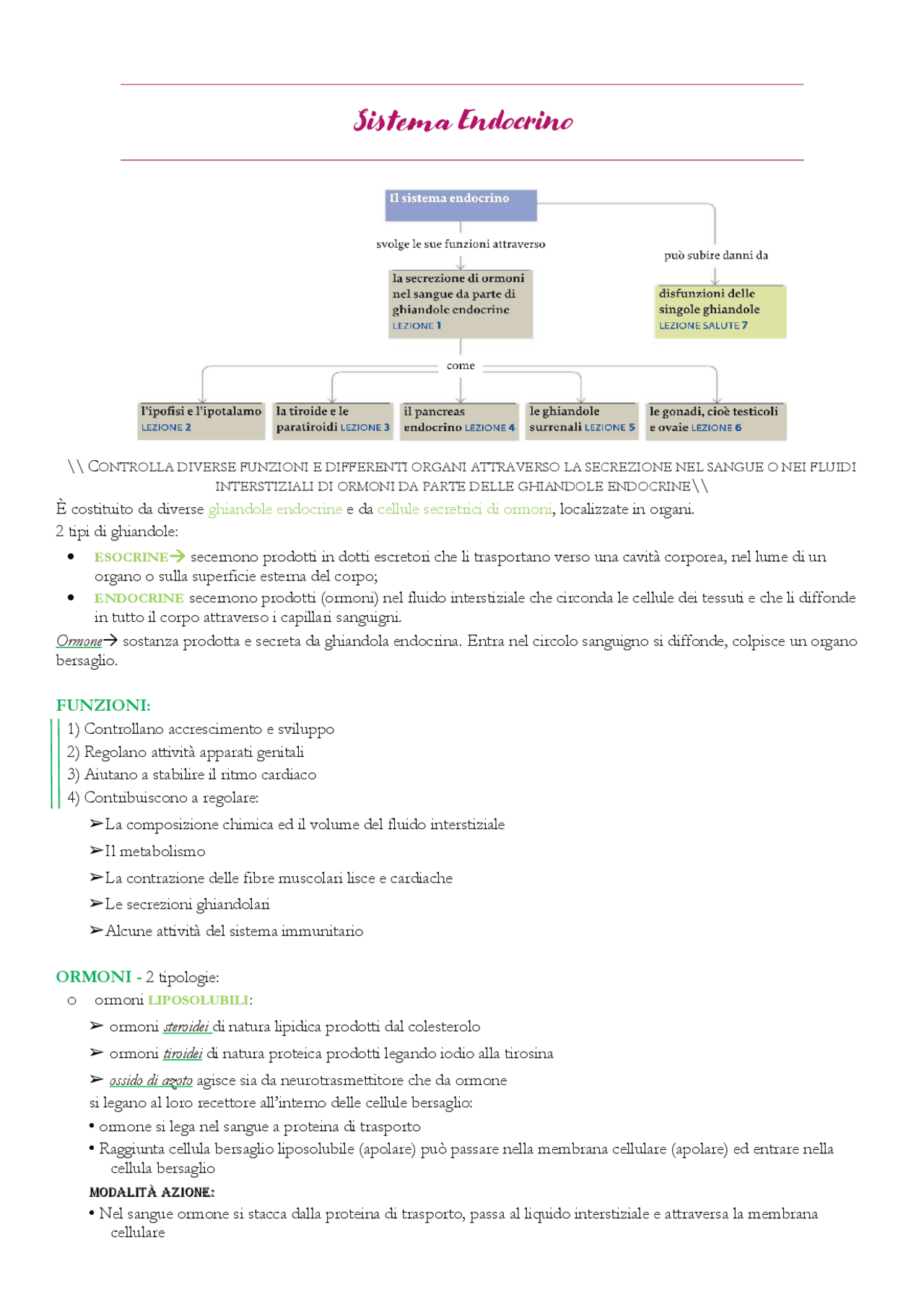 Il Sistema Endocrino Appunti Di Anatomia Docsity