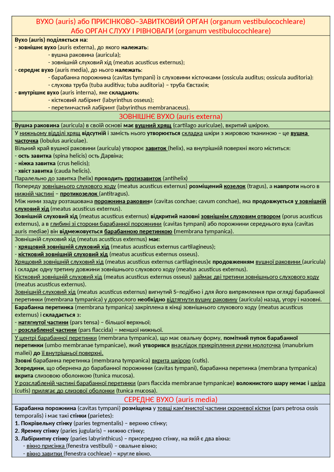 Оболонки головного мозку Схемы Анатомия Docsity