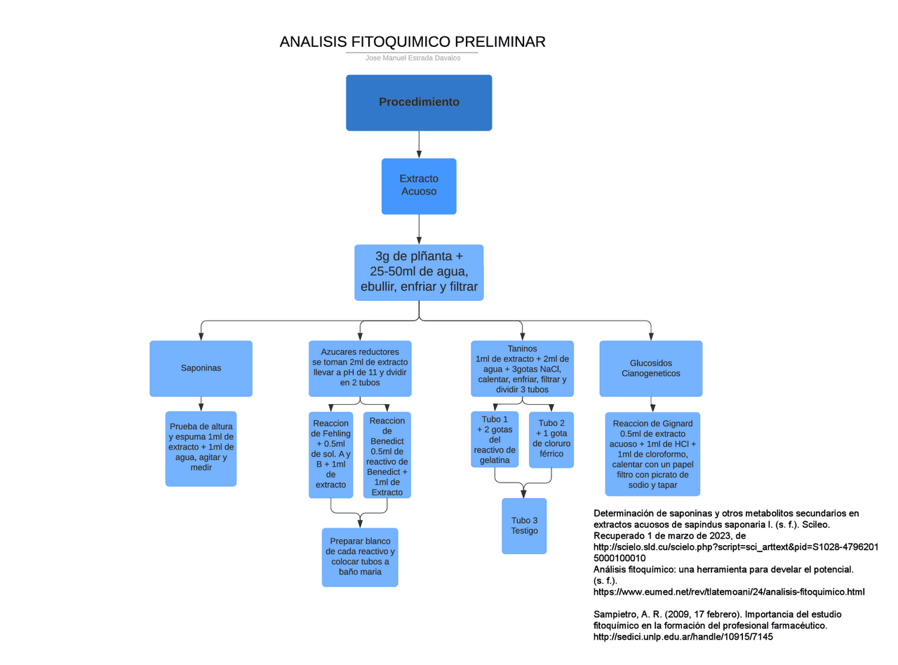 Diagramas Practica 2 Esquemas Y Mapas Conceptuales De Botánica Y