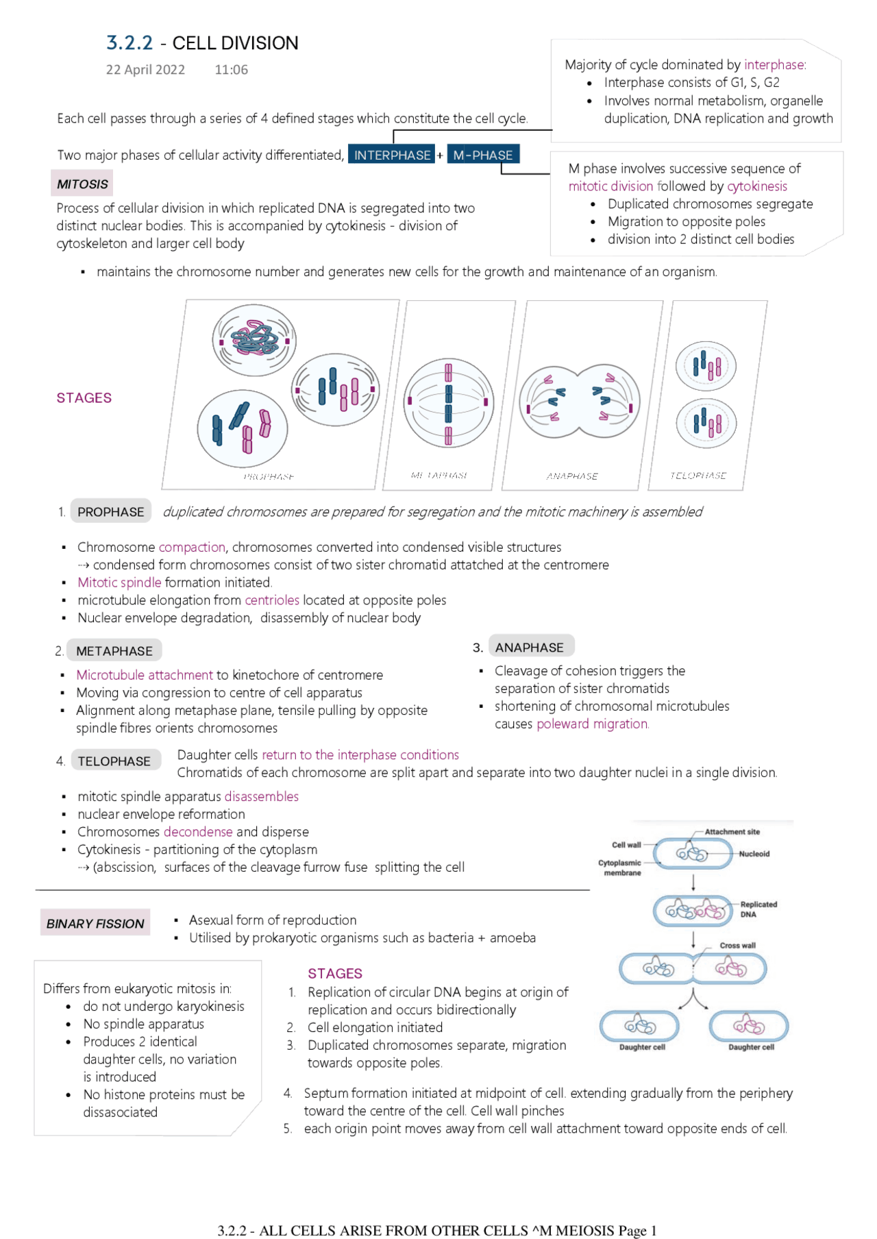 3.2.2 - Cell division (Mitosis, Meiosis, Binary Fission) / AQA A-LEVEL ...