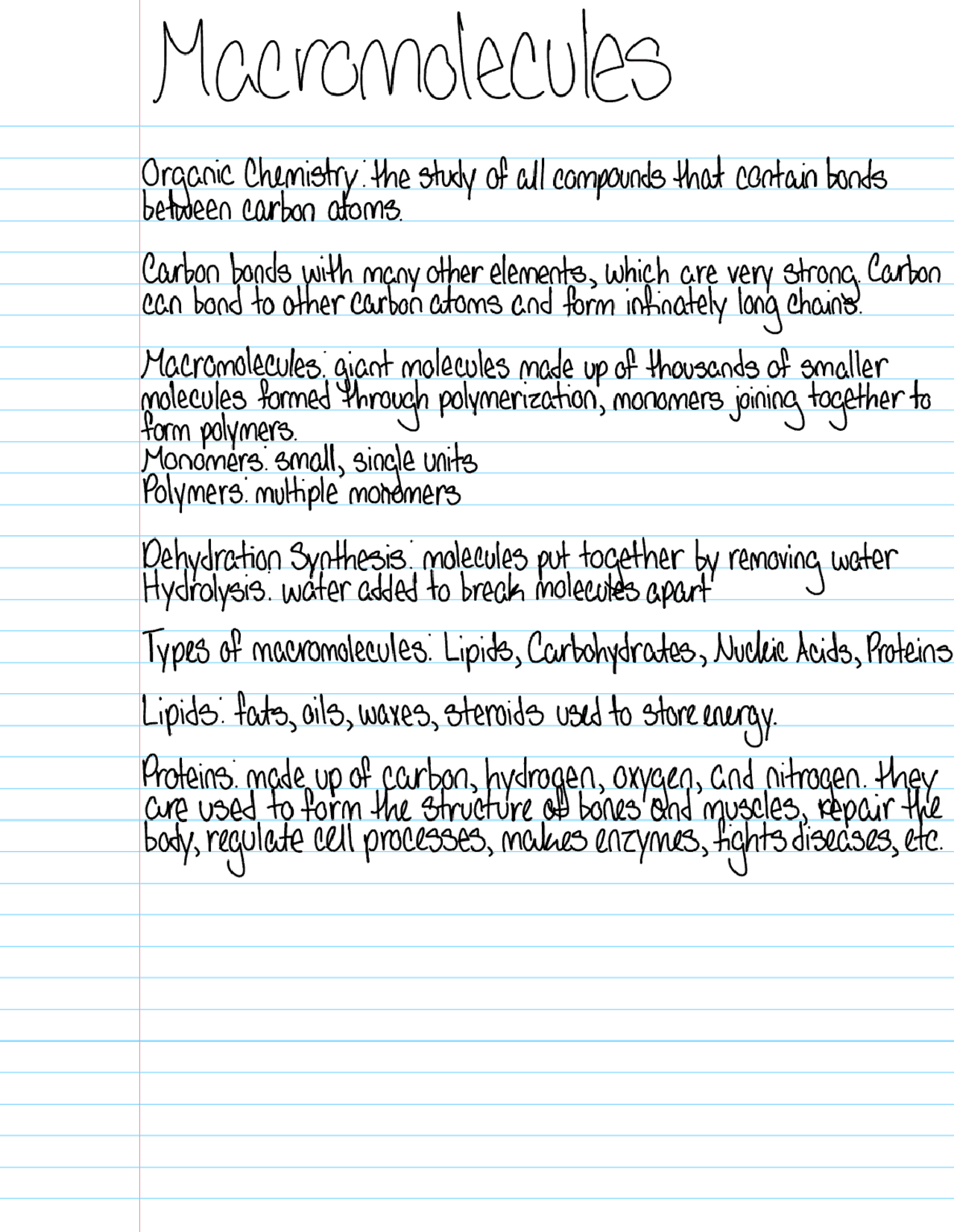 Biology 1 - Macromolecule Notes | Lecture notes Biology | Docsity
