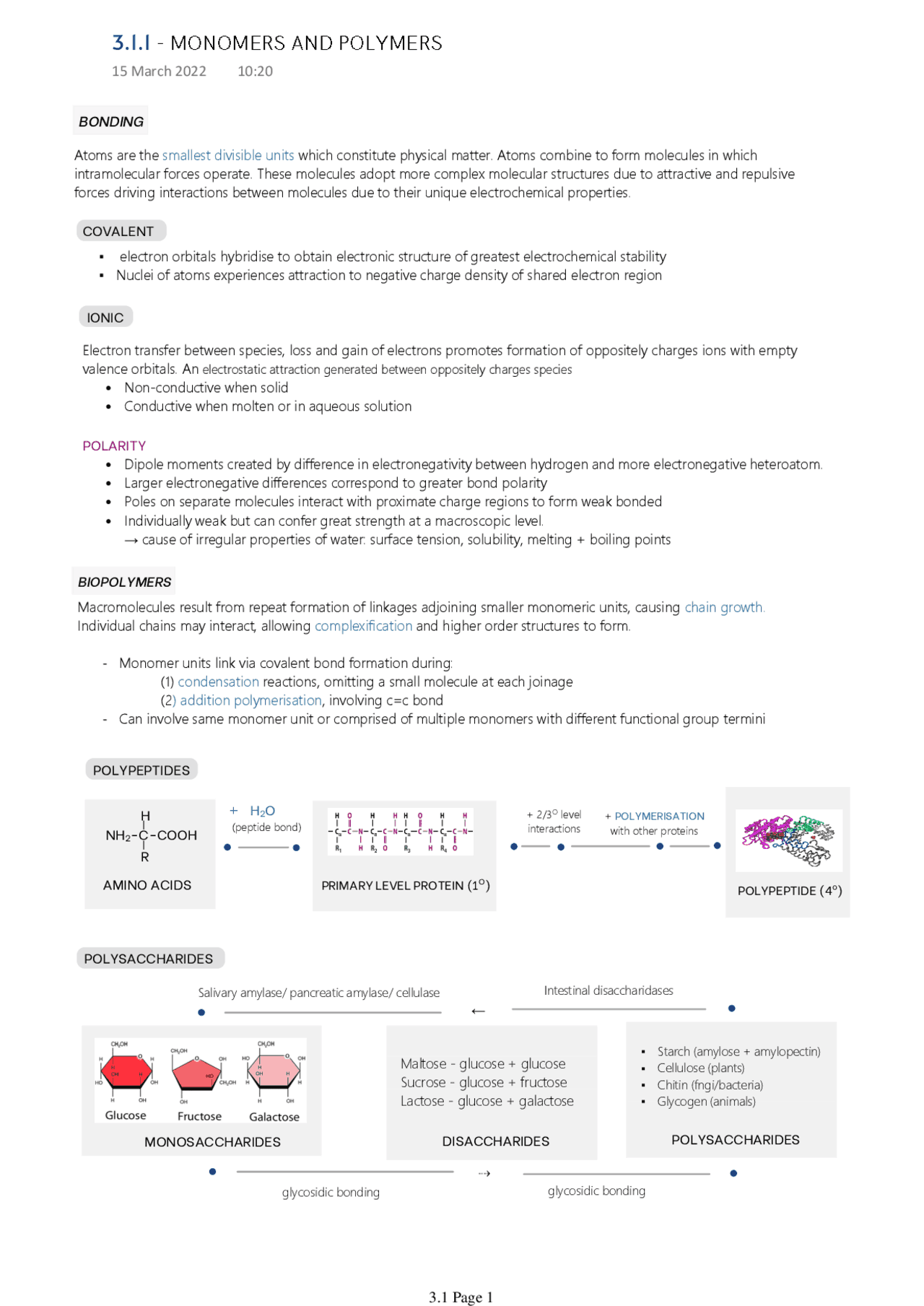 Topic 1 Biological Molecules / AQA A-LEVEL BIOLOGY 3.1 | Study notes ...