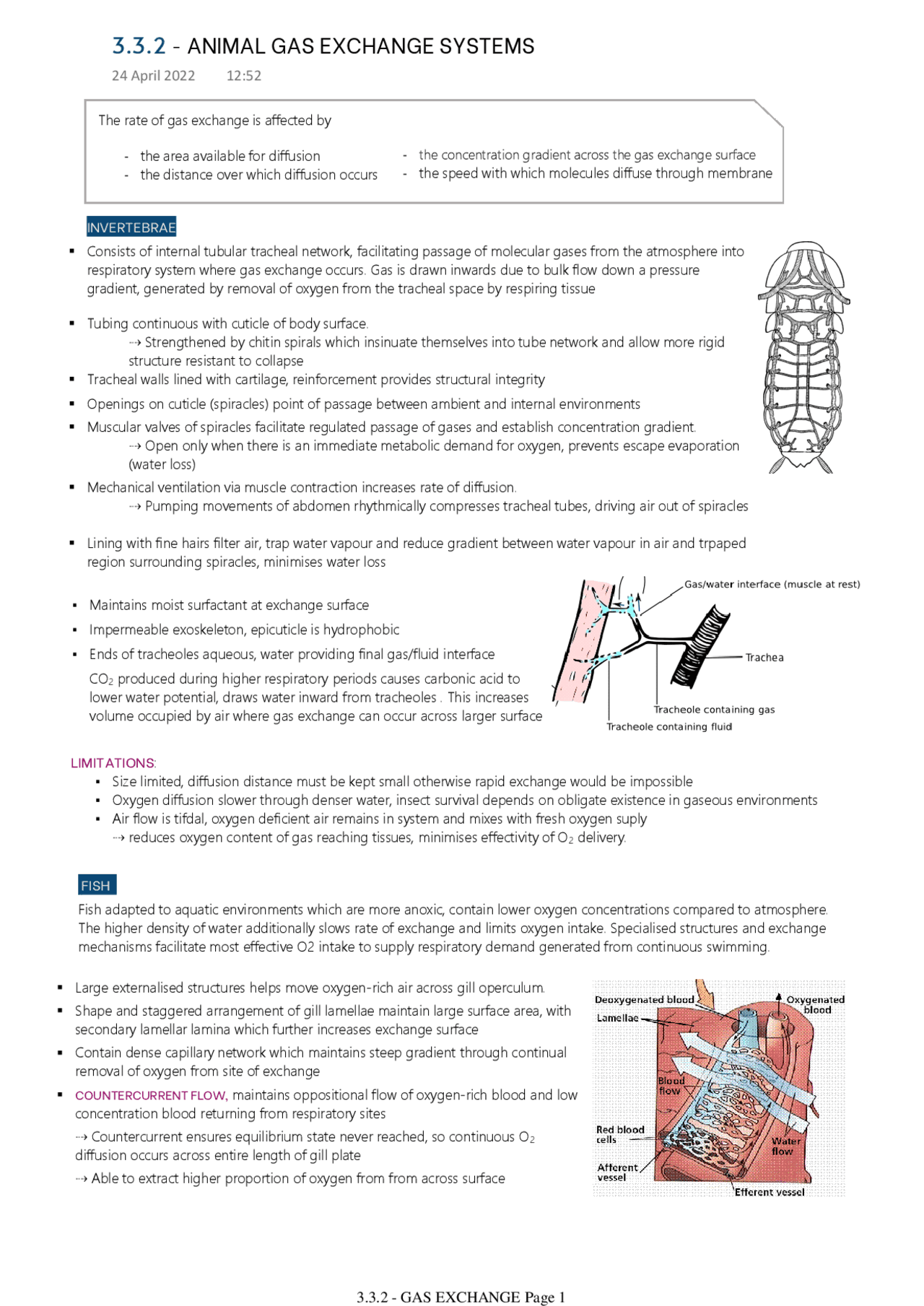 3.3.2 Gas exchange & The Respiratory System / AQA A-LEVEL BIOLOGY ...