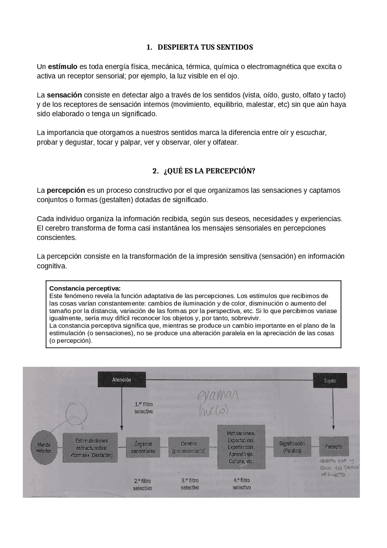 Percepción y sensación psicologia 2 bach | Resúmenes de Psicología | Docsity