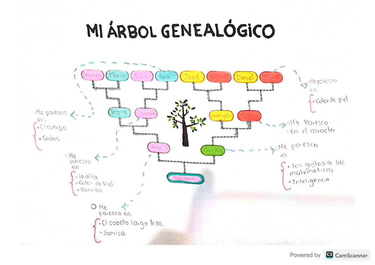 Árbol genealógico desde tus bisabuelos con principales caracteristicas ...