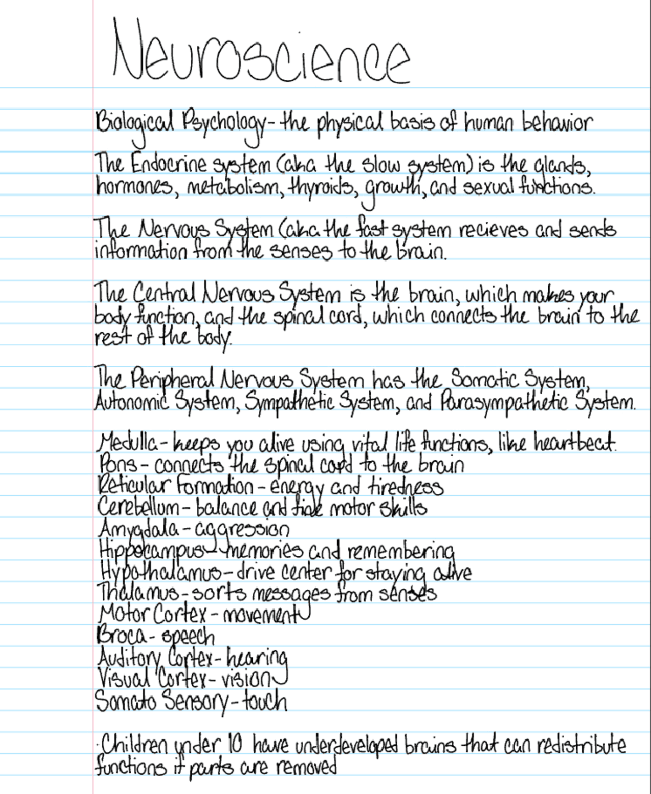 Psychology 1 - Neuroscience Notes | Lecture notes Psychology | Docsity