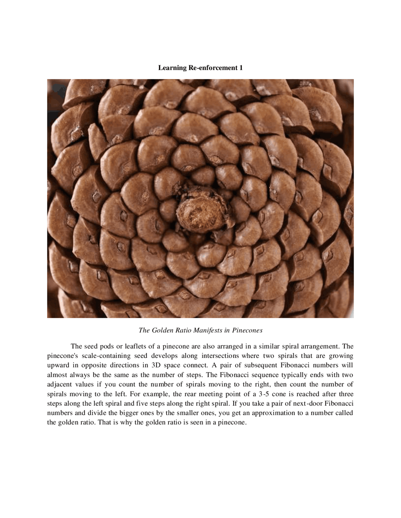 Learning Reinforcement 1 Exercises Mathematics Docsity