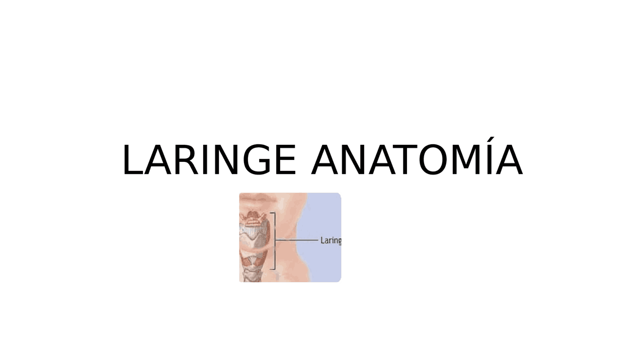 LA PARTES PRINCIPALES DE LA LARINGE | Esquemas y mapas conceptuales de ...