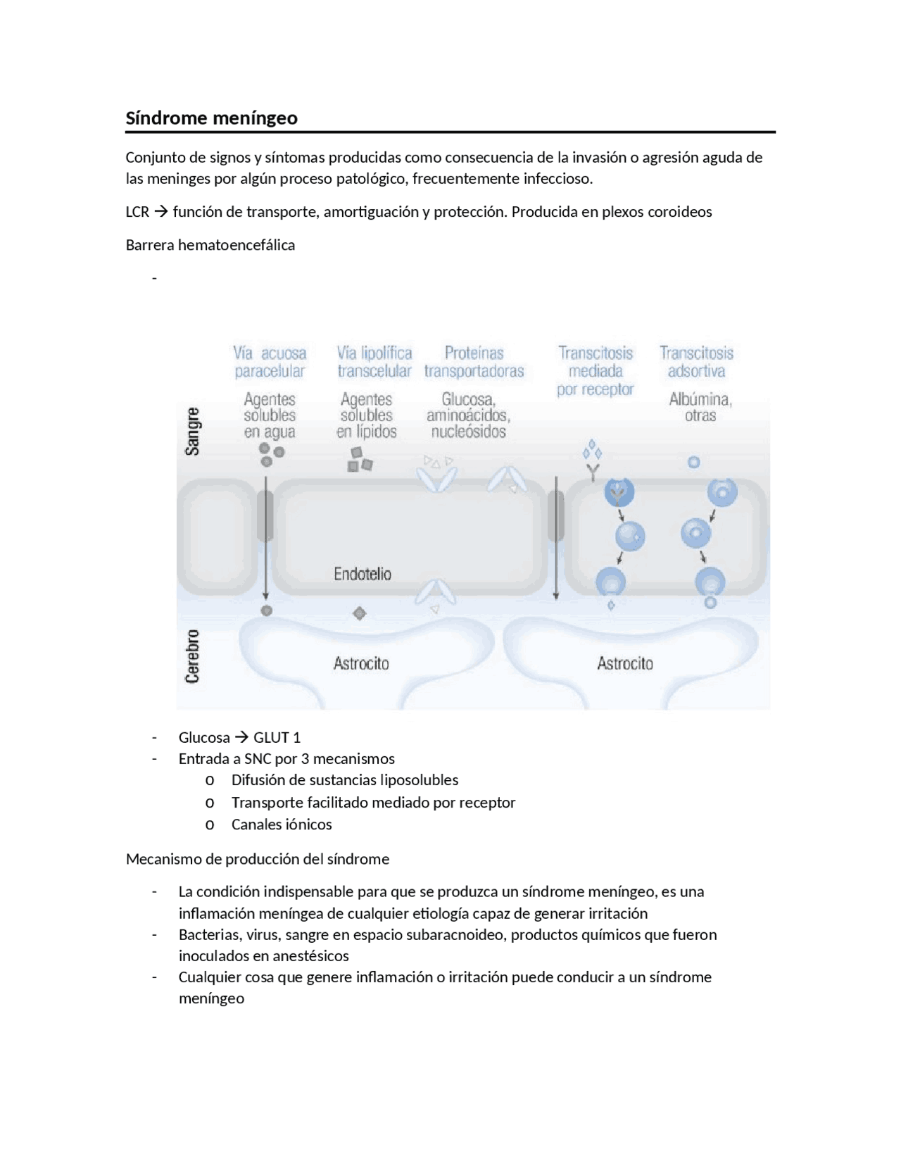 Meningitis Bacteriana Apuntes De Fisiopatología Docsity