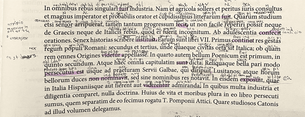 Catone e gli antiqui mores | Versioni di Latino | Docsity