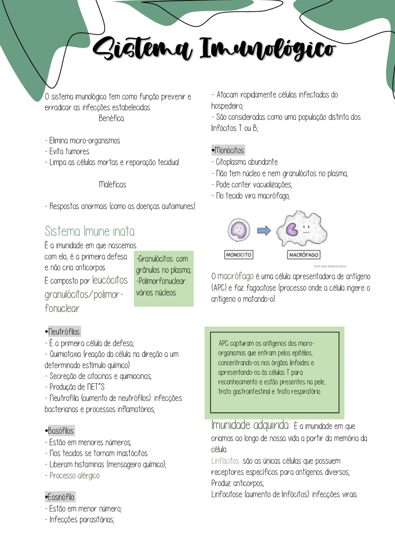 Sistema Imunológico - resumo | Esquemas Imunologia | Docsity