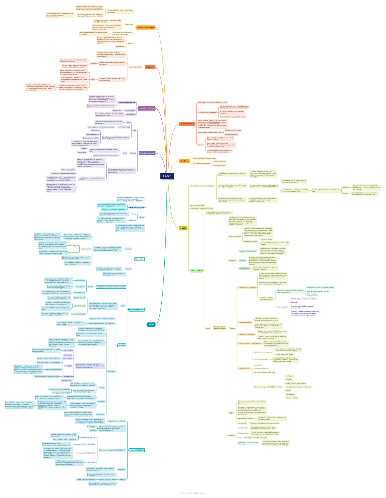 Mappa Xmind Sui Miceti Schemi E Mappe Concettuali Di Microbiologia