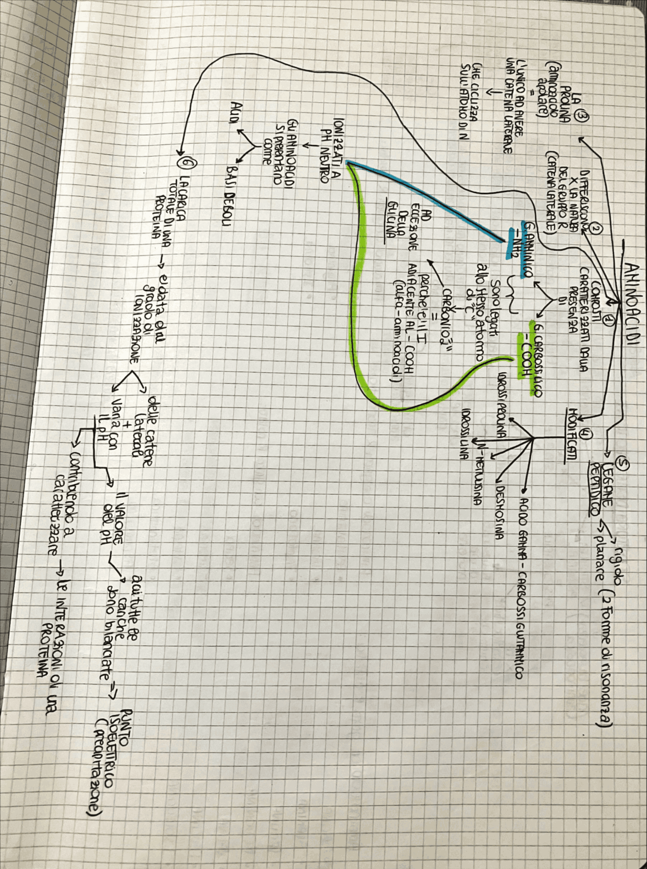 Sono Delle Mappe Concettuali Sulla Biochimica Schemi E Mappe Concettuali Di Biochimica Docsity